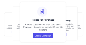 Customer Loyalty Program | WPLoyalty
